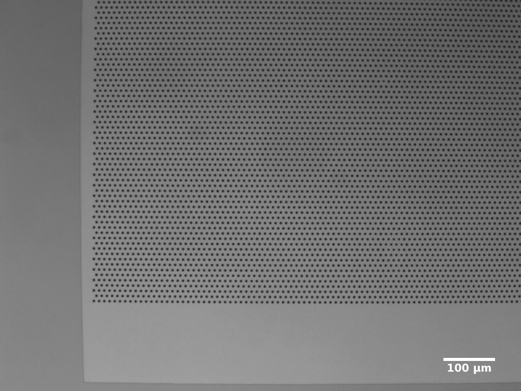 Silson - Perforated Membranes (Membranes with Holes)