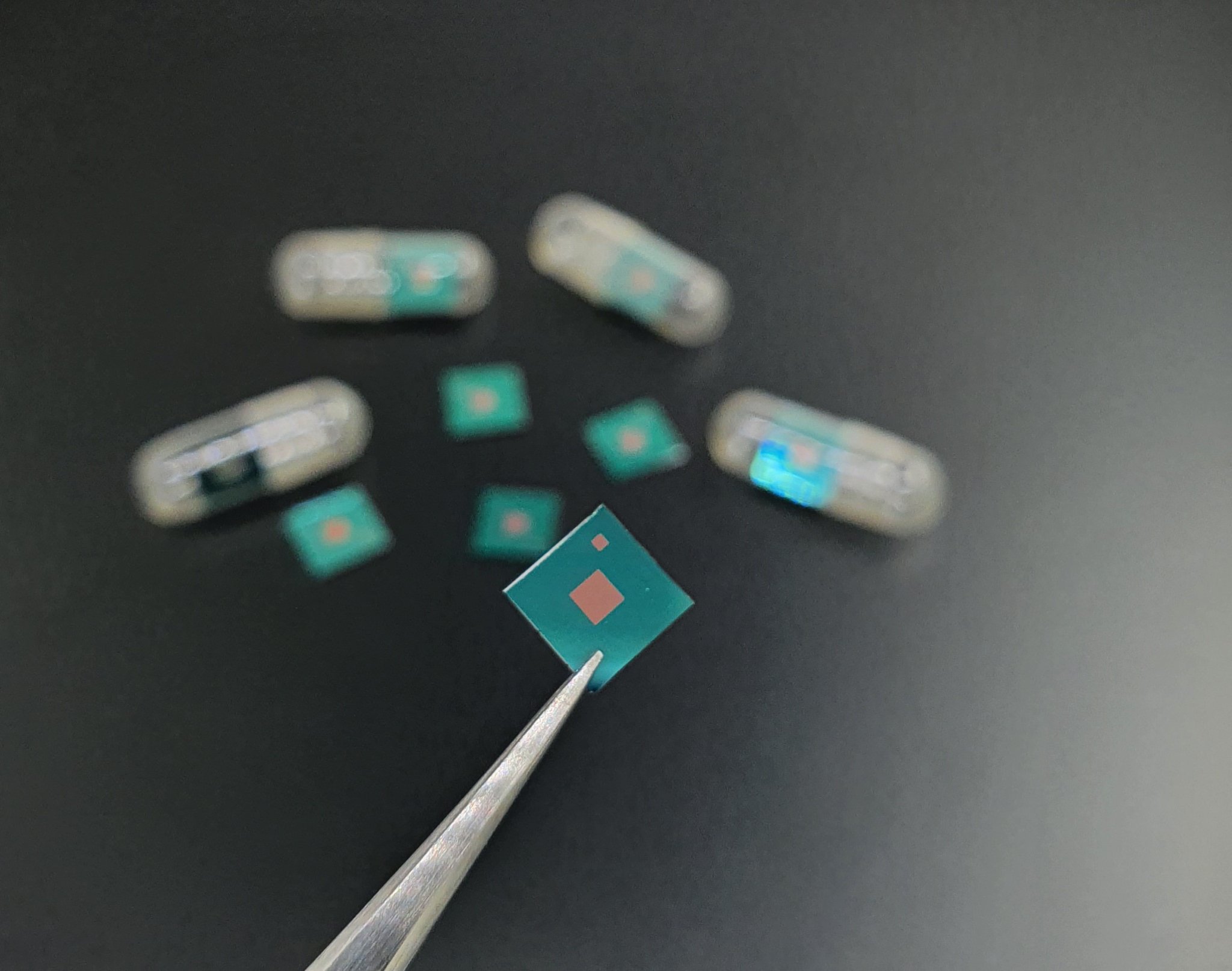 Silson - Orientation Membranes