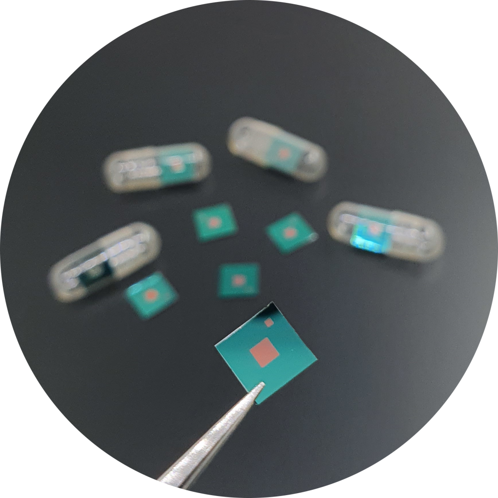 Silson - Orientation Membranes